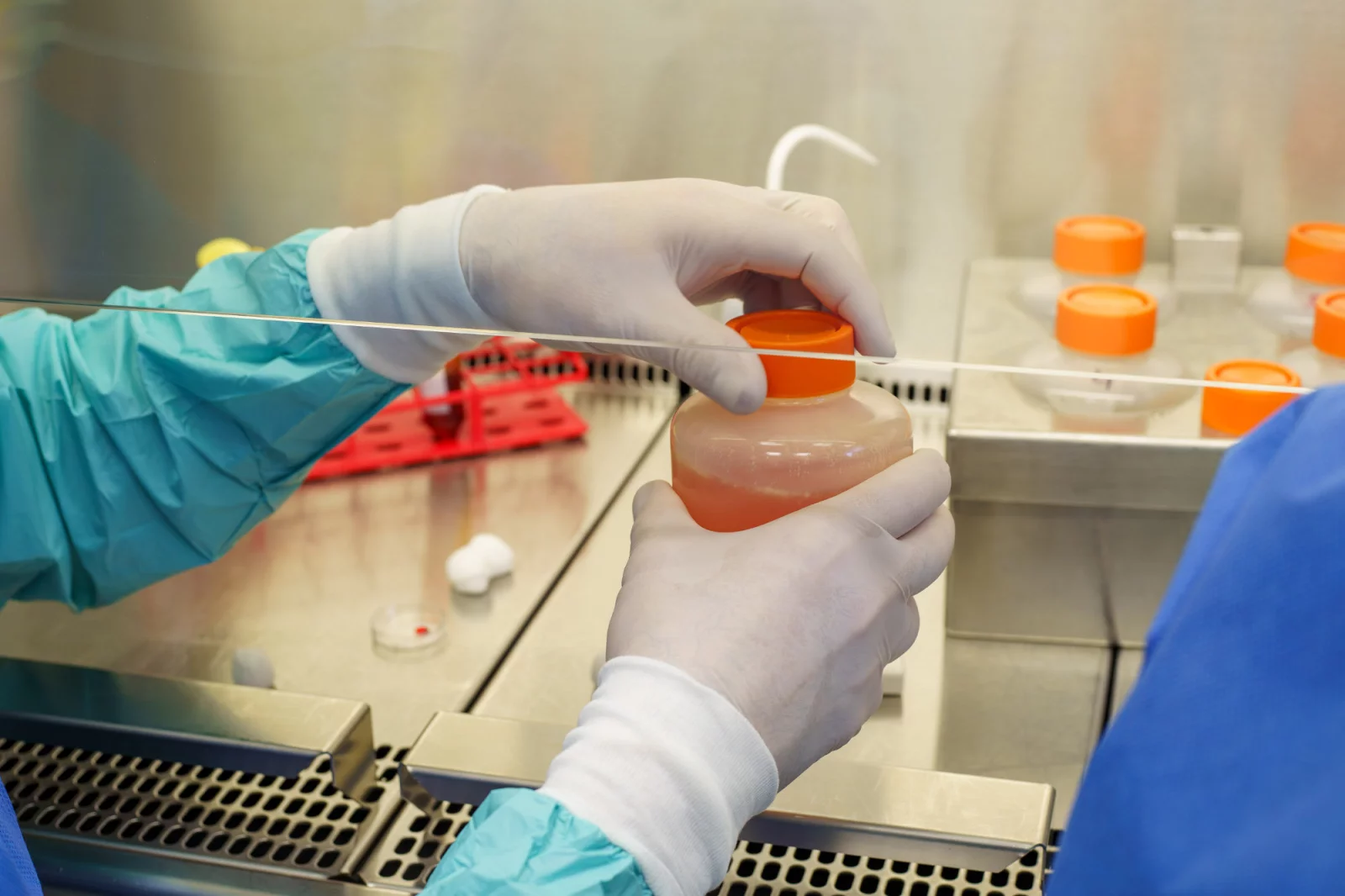 Transplantace Langerhansových ostrůvků nahrazuje slinivku, separátor ...