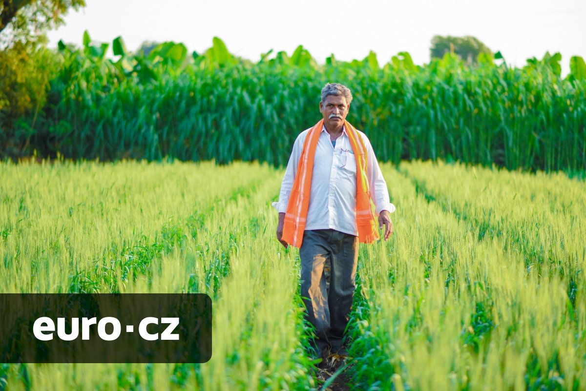 Z továren zpět na pole. Desítky milionů Indů začaly pracovat v ...