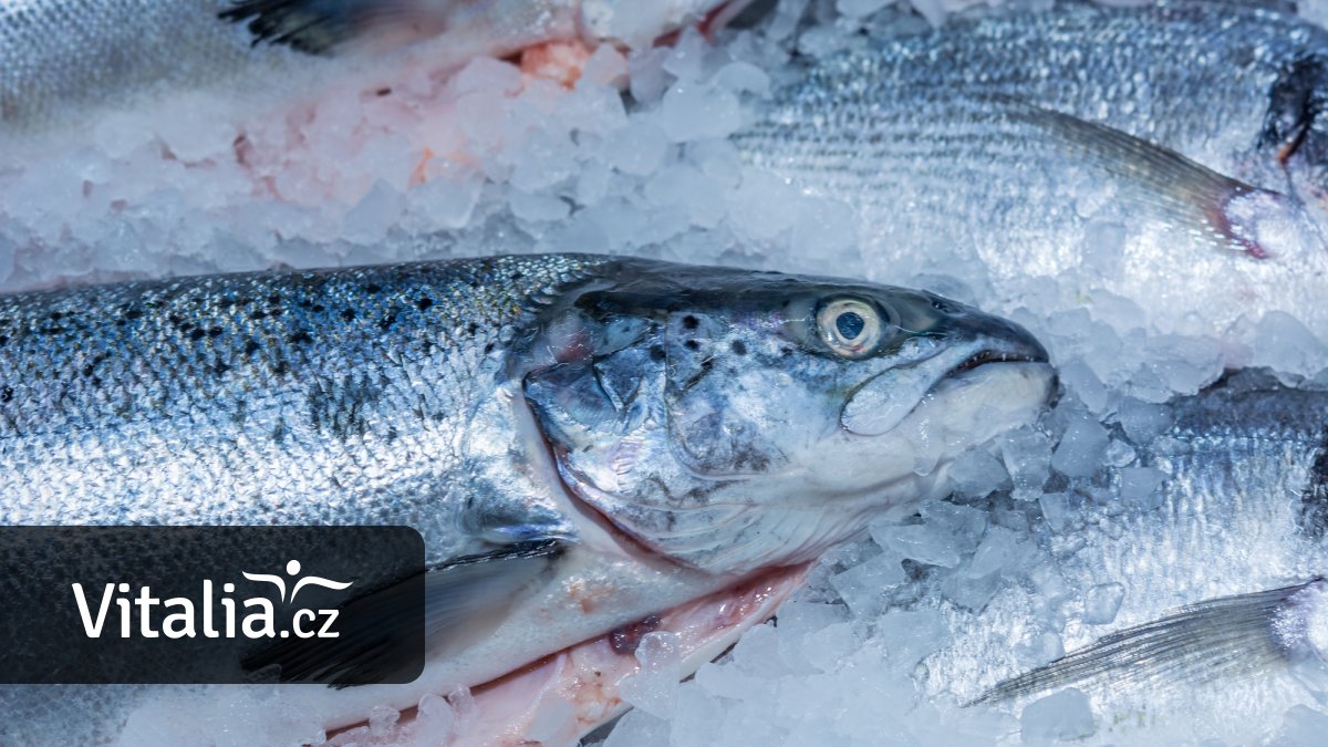 Mražené ryby na Vánoce: jak je připravit a nezkazit - Vitalia.cz