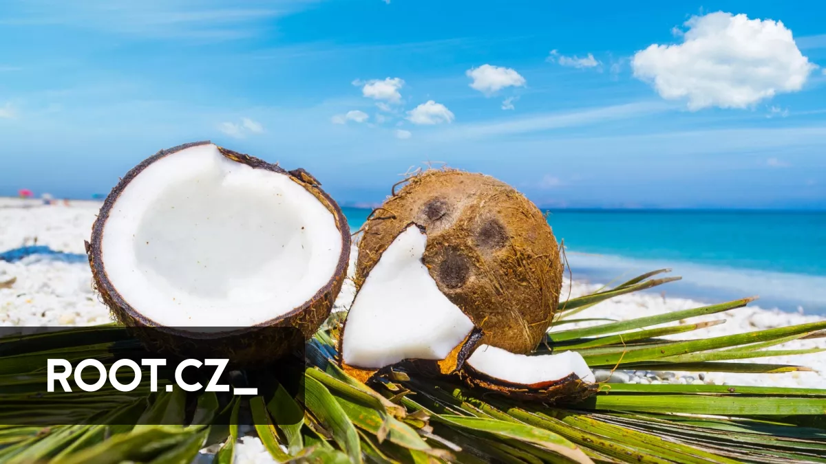 Konstrukce kolon a kompozice funkcí v jazyku Coconut - Root.cz