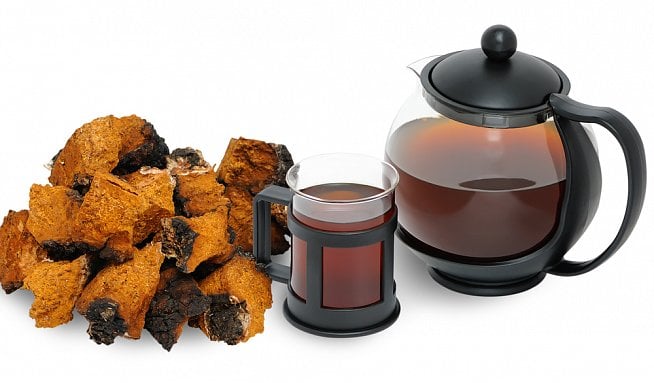 Čaj z houby čaga vaří v Rusku i u nás - Vitalia.cz