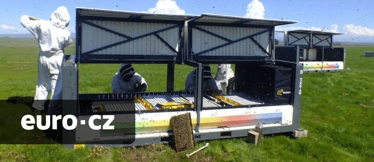 Tradiční úly nestačí. Umělá inteligence a robotika mají zachránit včely ...