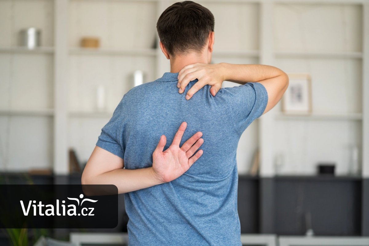 Bolest zad u lopatek: časté příčiny a vhodné cviky - Vitalia.cz