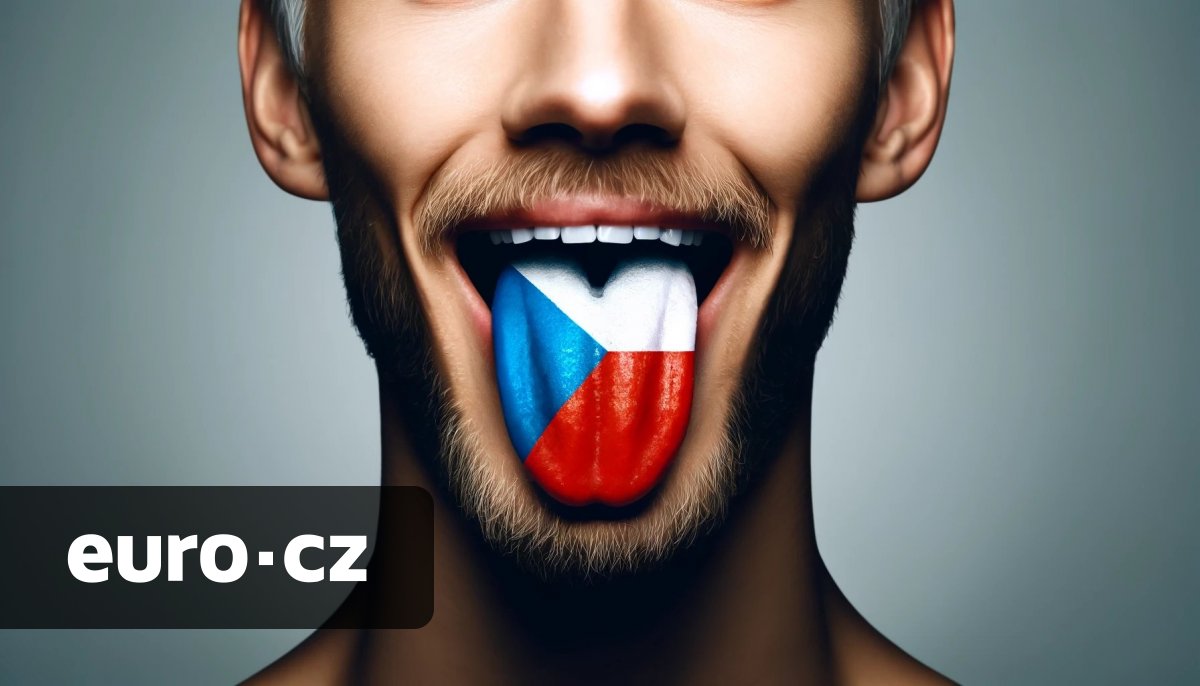 Lingea spustila novou verzi svého jazykového portálu. Obsahuje přes 70 tisíc hesel - Euro.cz