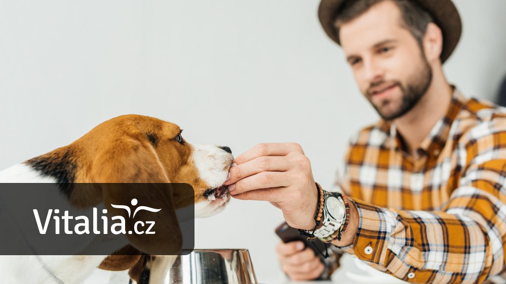 Může člověk jíst žrádlo pro psy? - Vitalia.cz