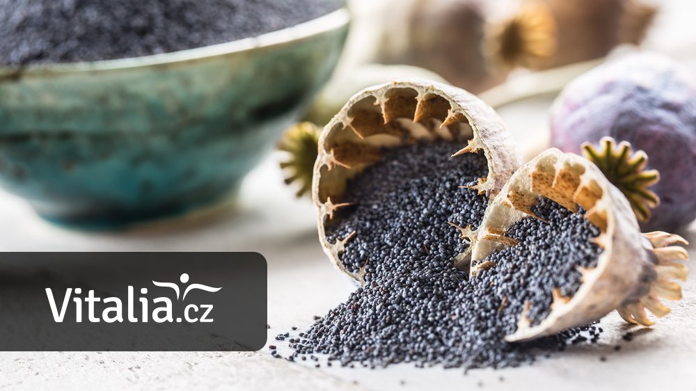 Český modrý mák není droga, ale spíš superpotravina - Vitalia.cz