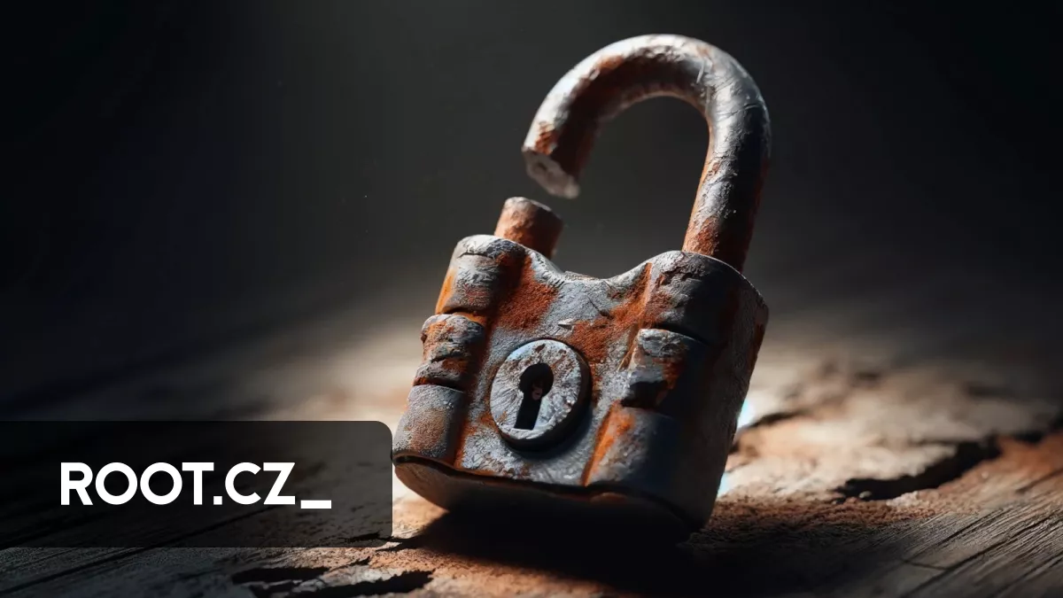 DigiCert revokuje tisíce certifikátů kvůli chybě při ověřování DNS ...