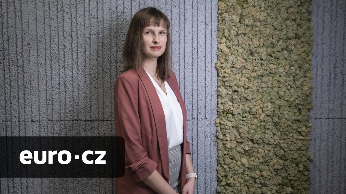 Jak uspět při expanzi e-shopu do zahraničí? Ideálně porazit konkurenci ...