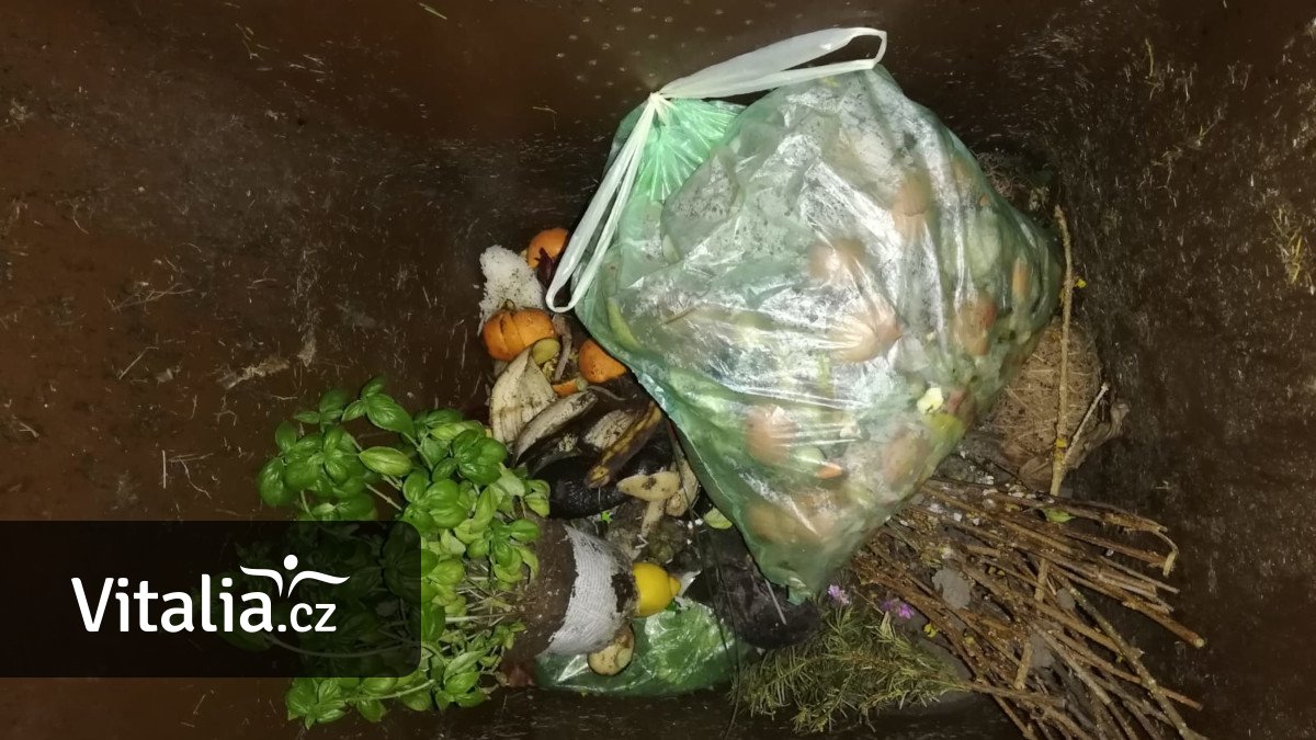 Co patří do popelnice na bioodpad? Lidé sem hází igelitky i horší věci ...