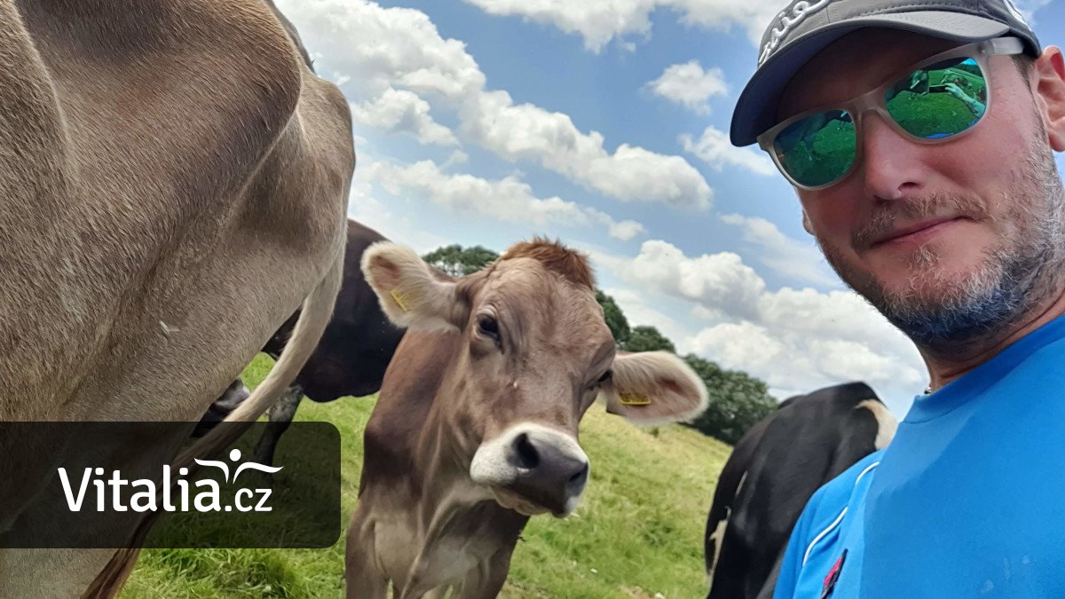 10 let Sklizena: Bylo to vysilující, ale neměnil bych, říká zakladatel ...