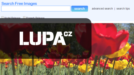 Kde můžete zdarma získat použitelné obrázky pro vaše stránky? - Lupa.cz